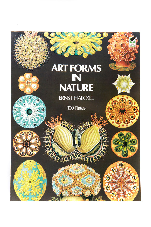 Art Forms In Nature